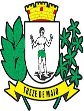 Brasão Municipal - INÍCIO